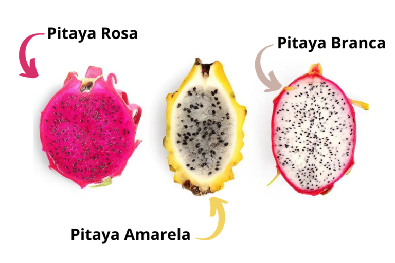Benefícios da Pitaya: Conheça os benefícios para sua saúde